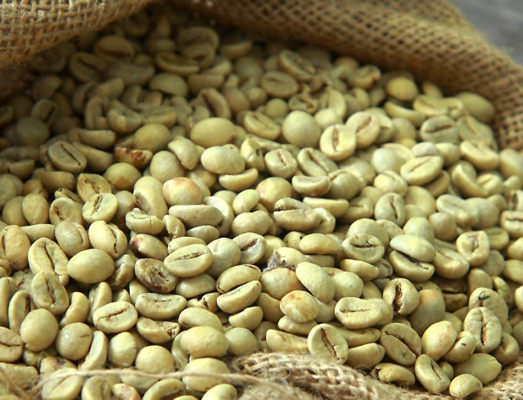 Robusta Coffee Beans - Ricancy Limited